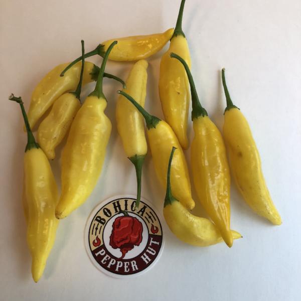 Aji Peppers