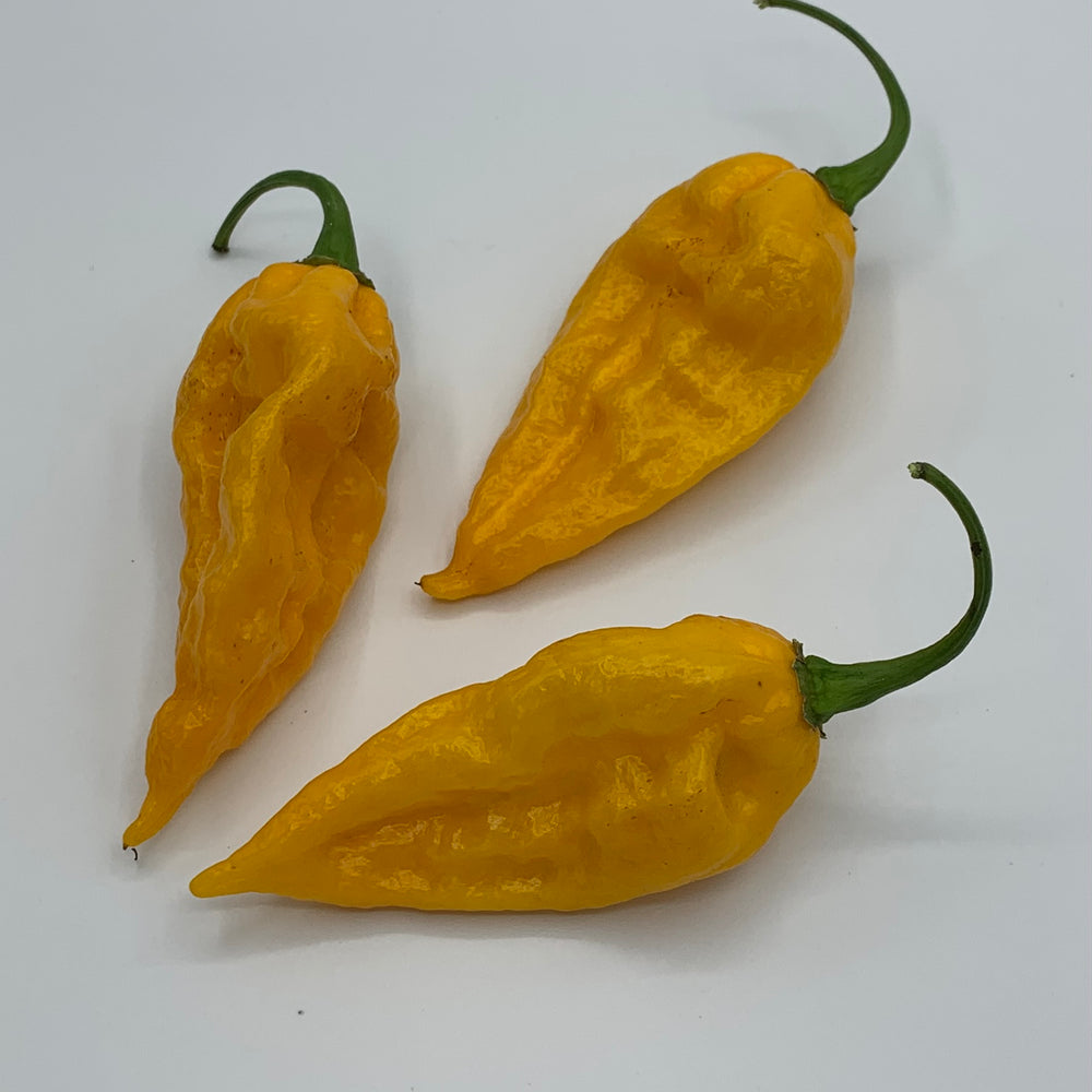 Fatalii Peppers
