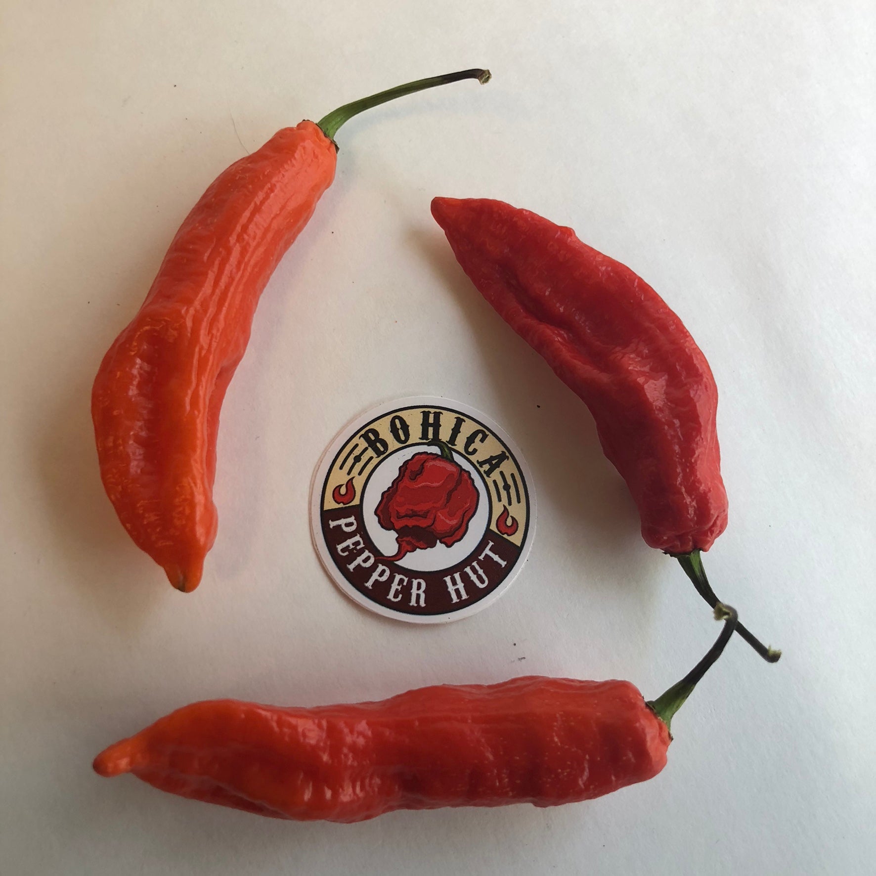 Jalapeño Peppers