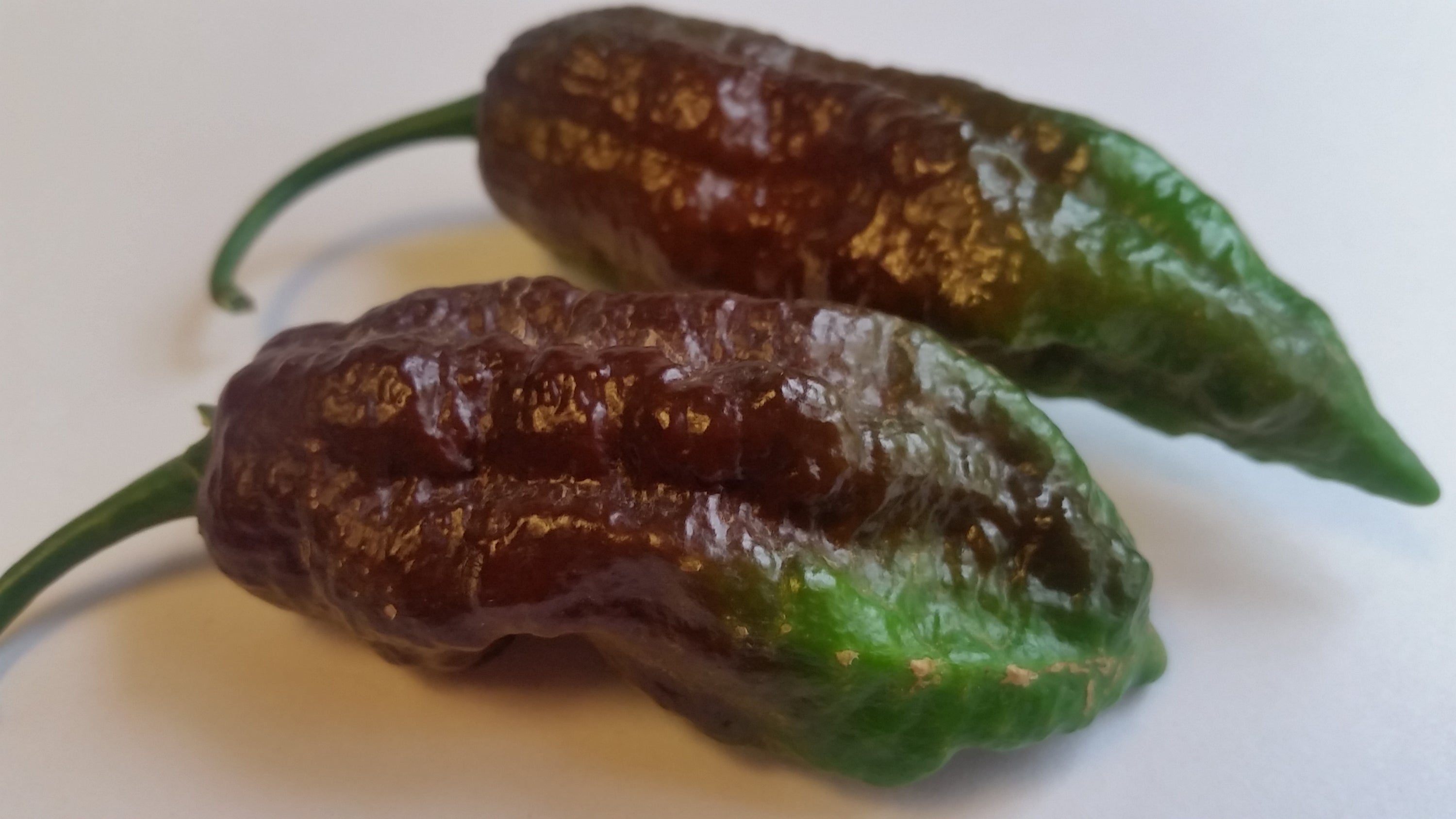 Fatalii Peppers