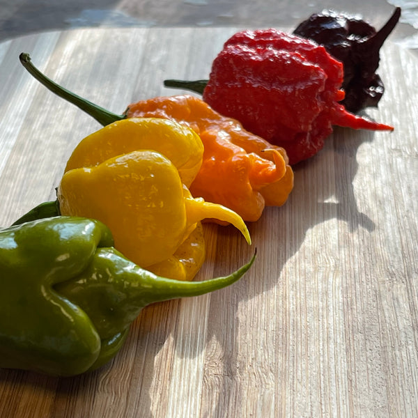 Reaper Mega Combo Pack (5 Types) - Fresh Seeds from Bohica Pepper Hut