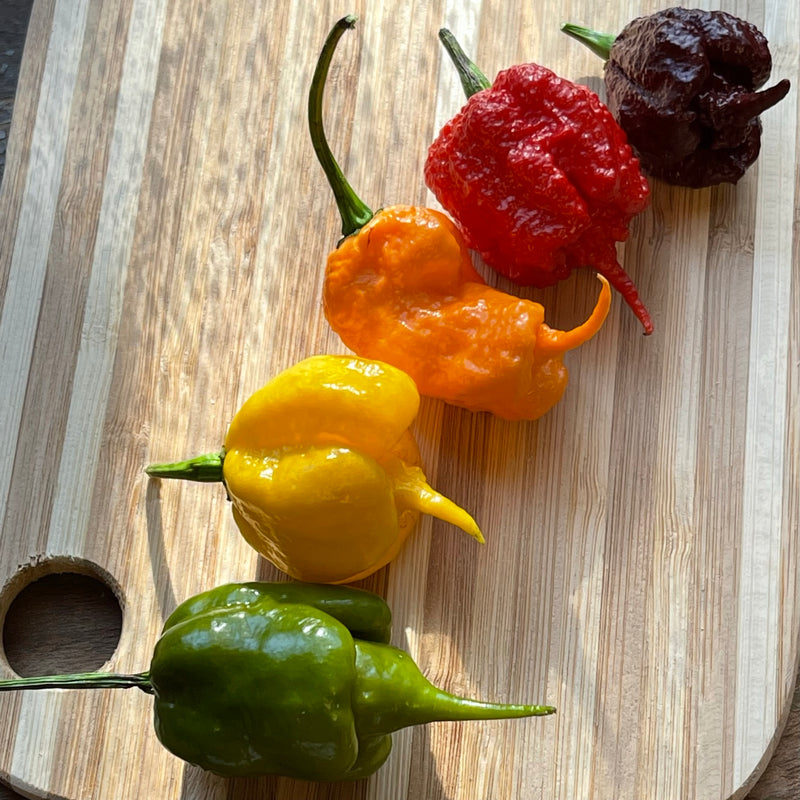 Reaper Mega Combo Pack (5 Types) - Fresh Seeds from Bohica Pepper Hut