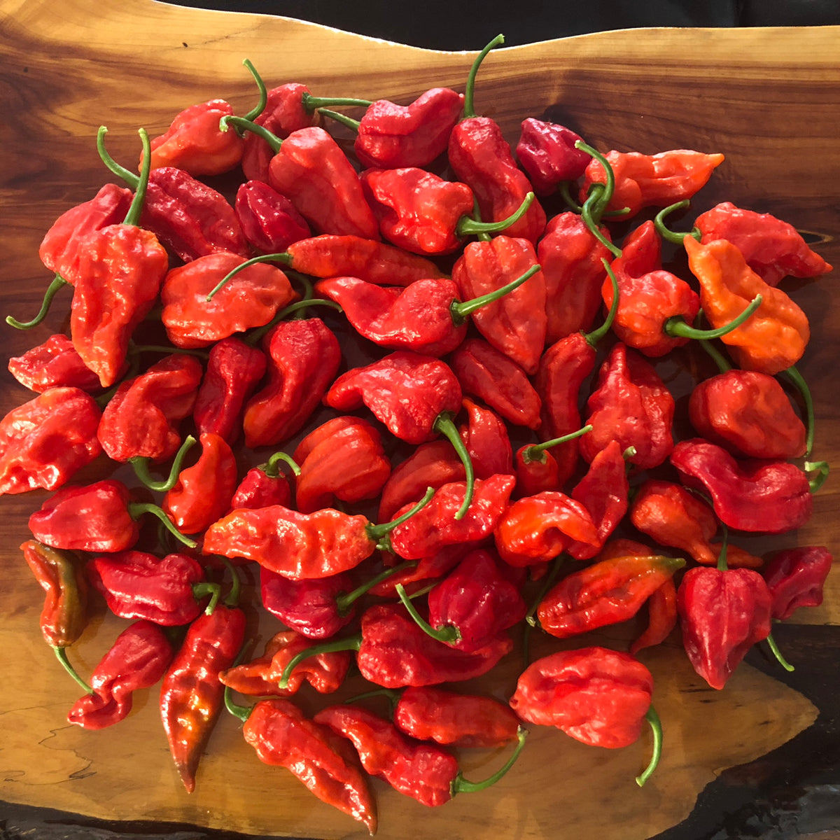 Fresh Mixed Super Hots